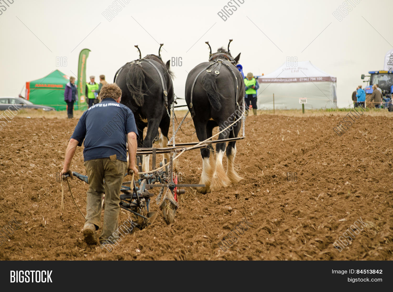 Horse Drawn Ploughing Image & Photo (Free Trial) | Bigstock
