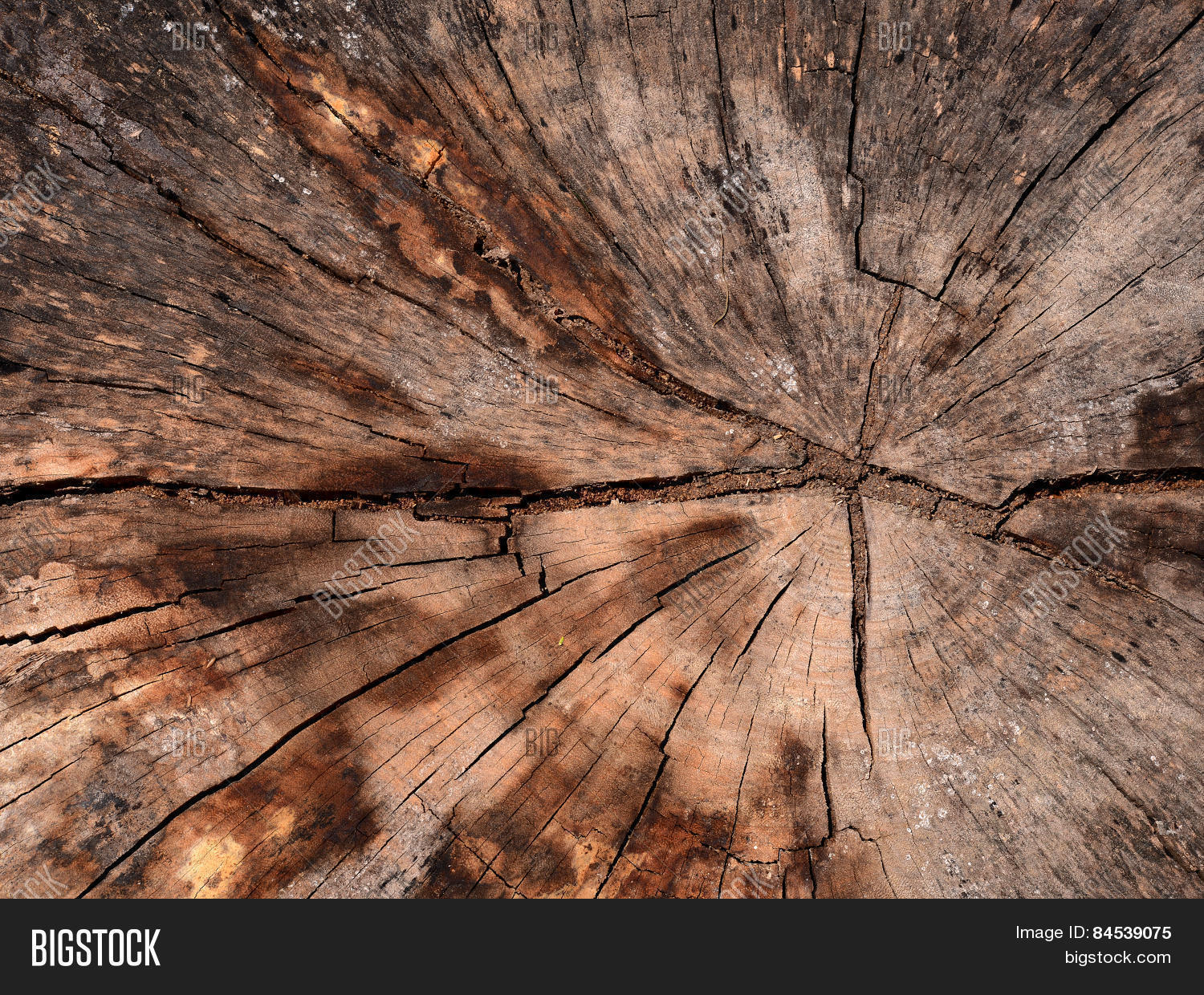 Wood Old Broken Image & Photo (Free Trial) | Bigstock