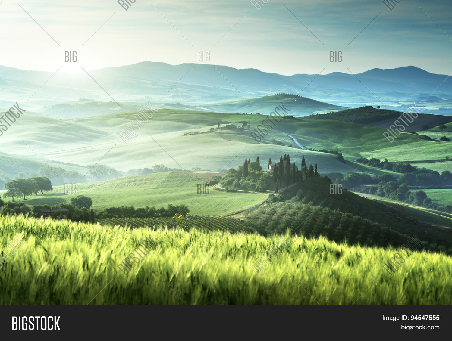 Early Spring Morning Image & Photo (Free Trial) | Bigstock