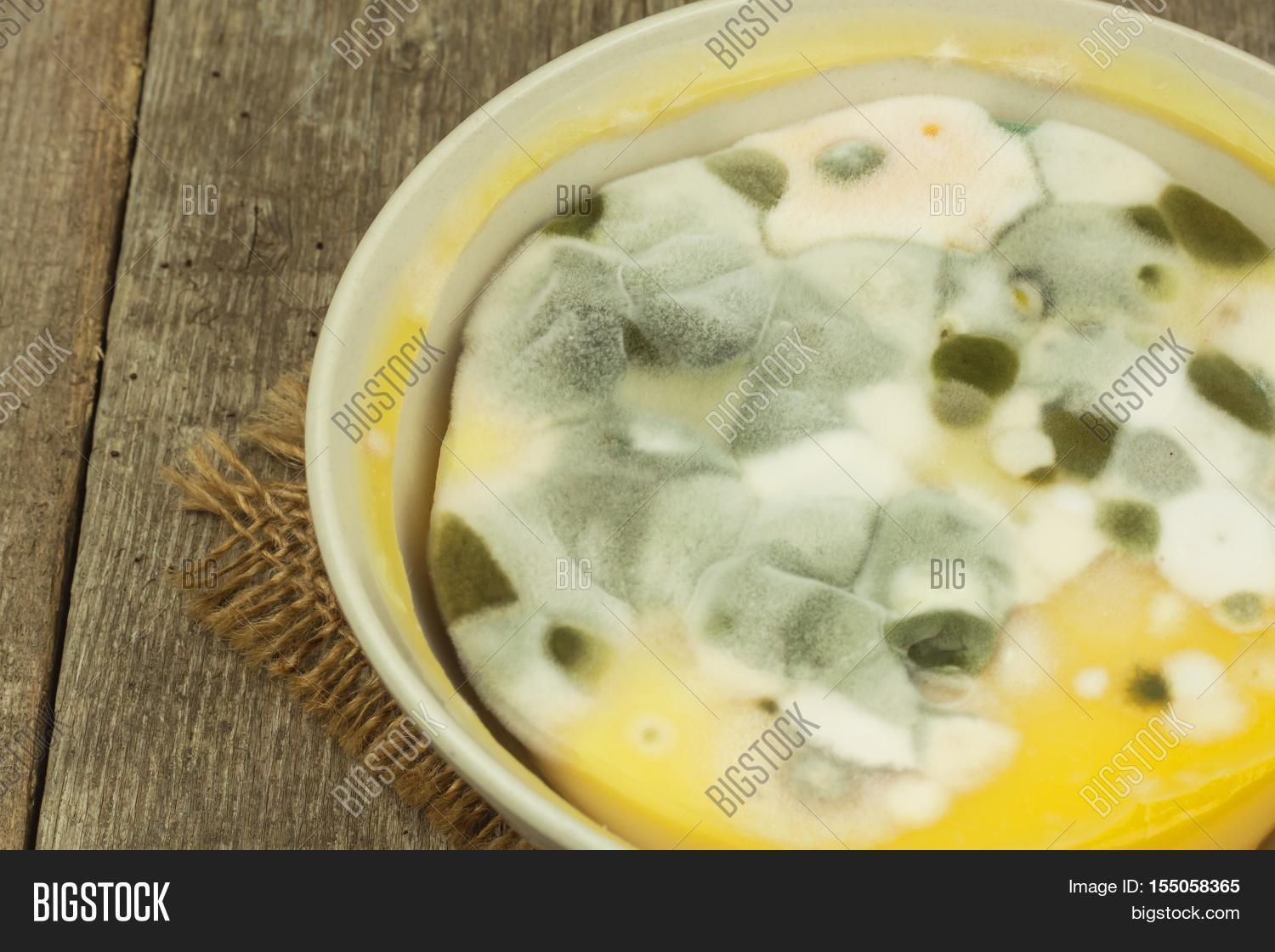 Moldy Pudding. 图片和照片（免费试用） | Bigstock