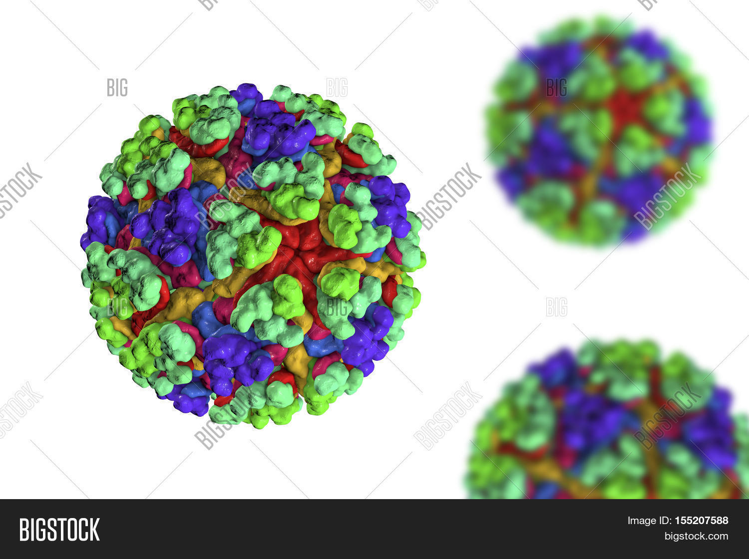 Mayaro Virus 3D Image & Photo (Free Trial) | Bigstock