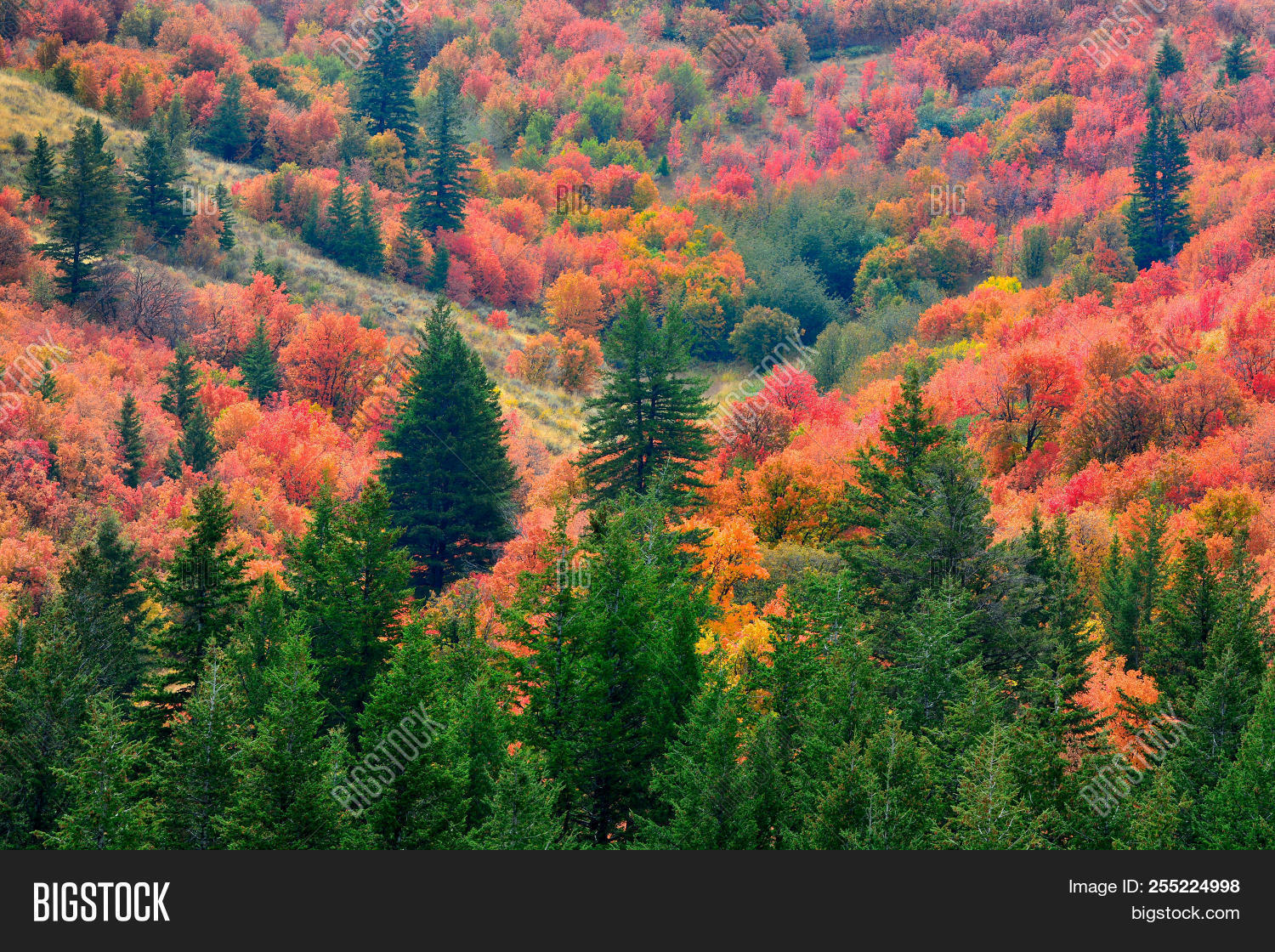 Mountains Fall Autum Image & Photo (Free Trial) | Bigstock