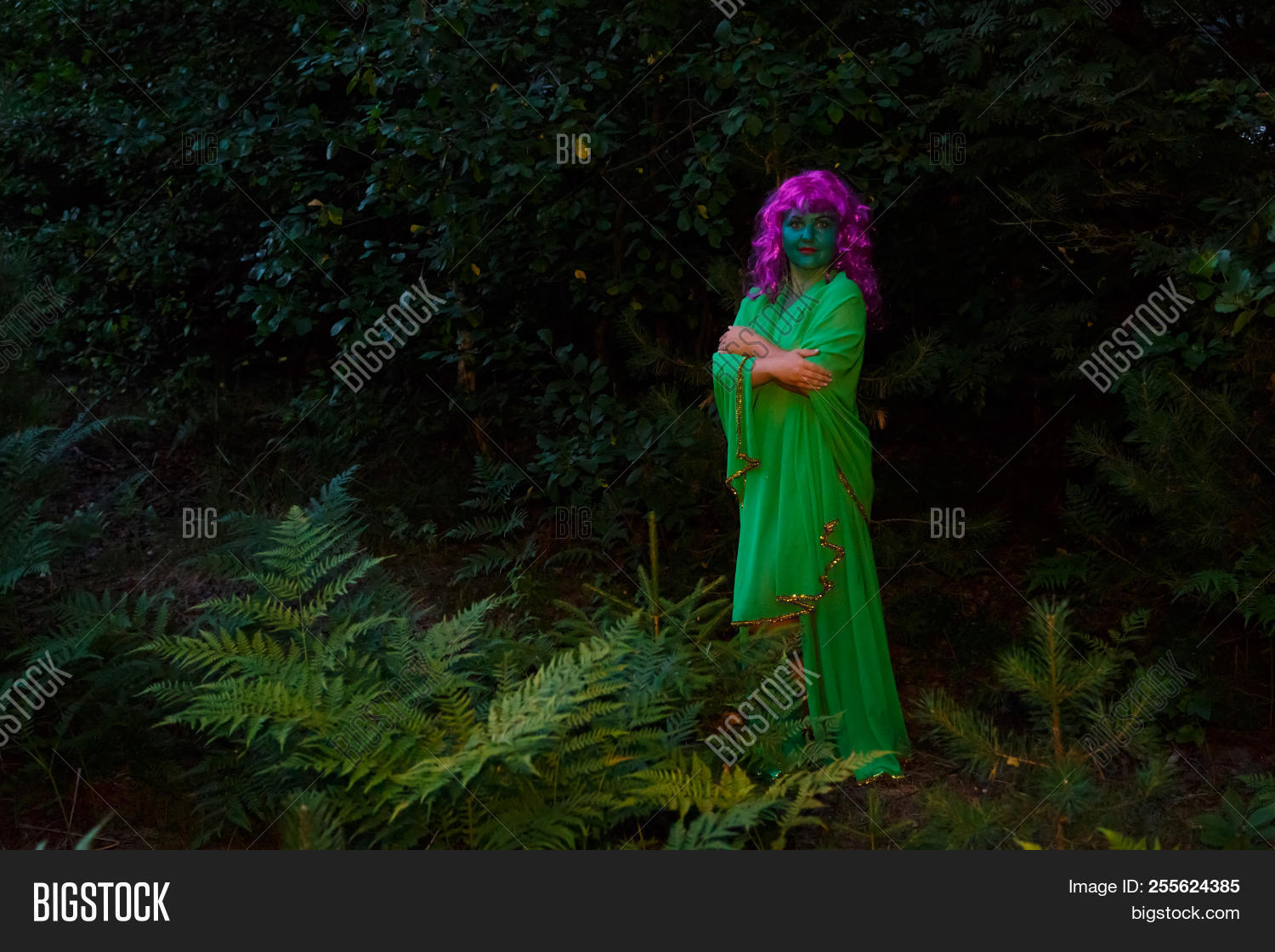 Water Witch Stands Image & Photo (Free Trial) | Bigstock