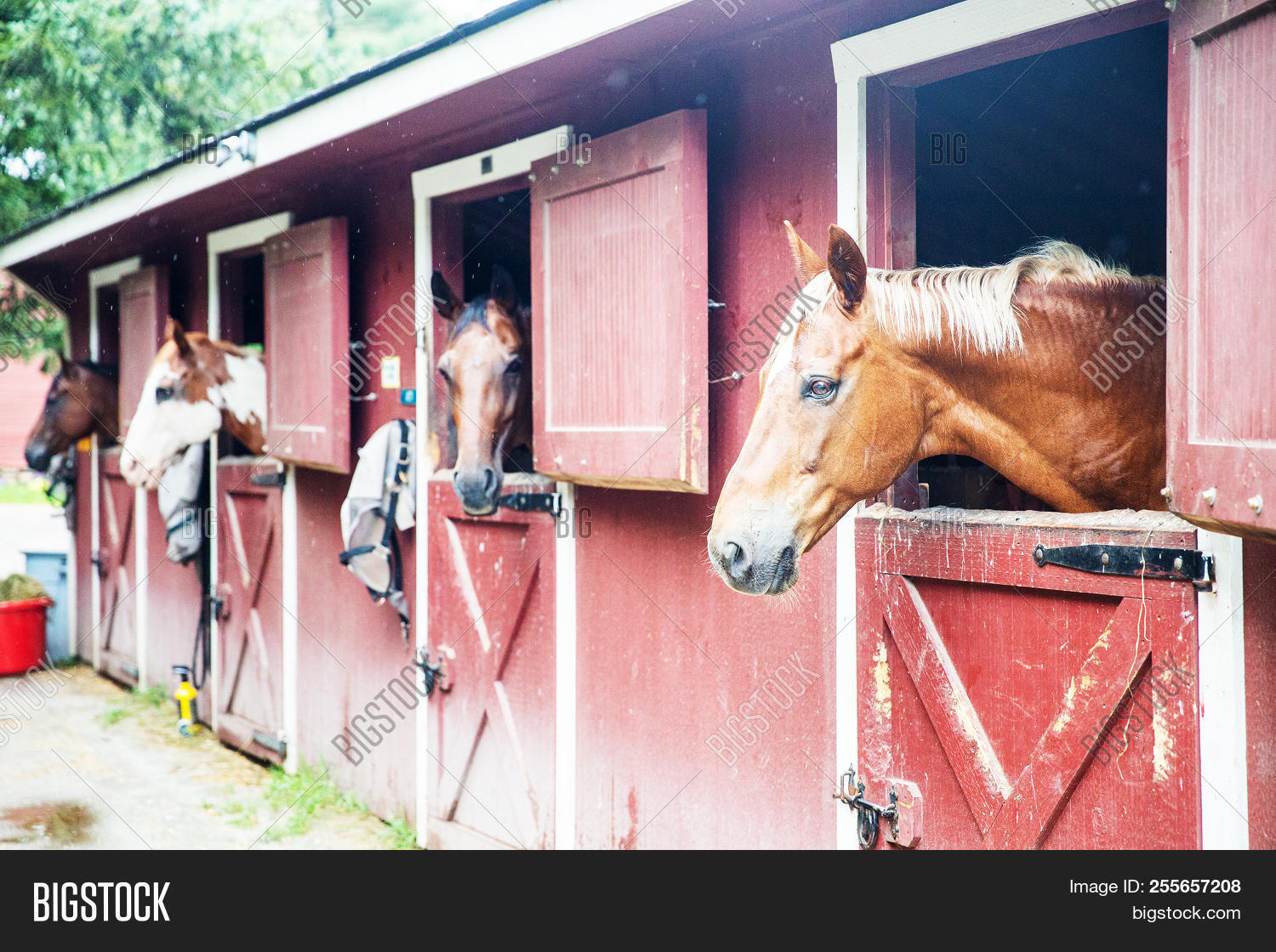 Horse Stable Outside