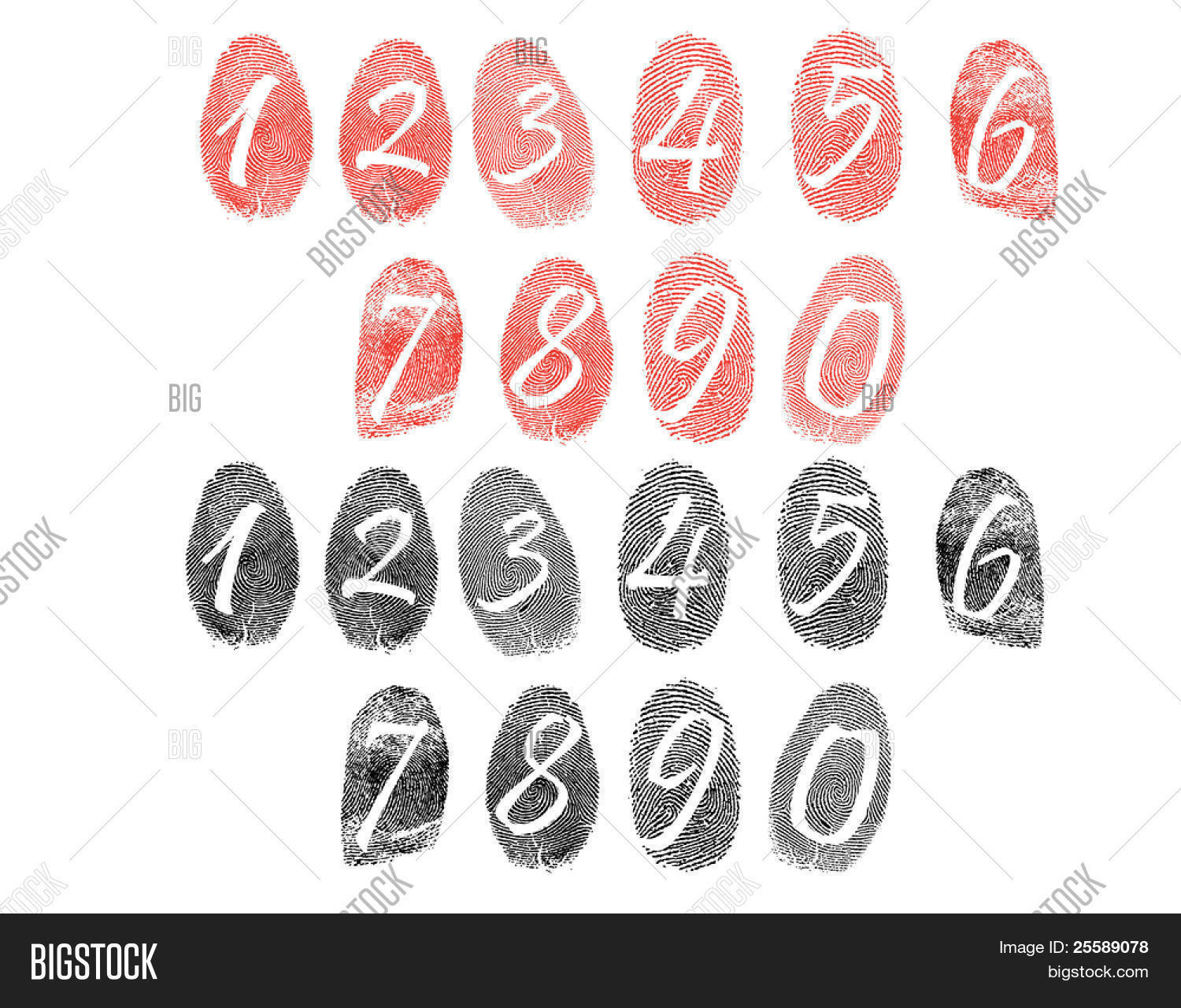 Fingerprints Numbers Vector & Photo (Free Trial) | Bigstock