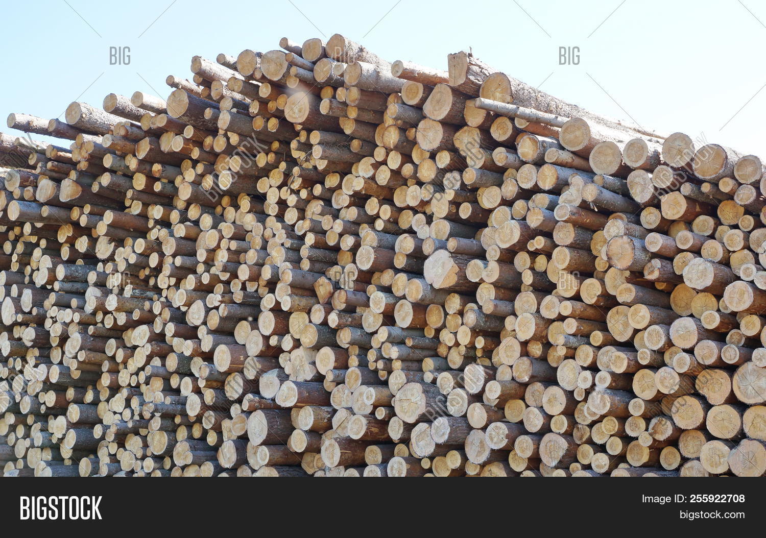 Logging Sending Logs Image & Photo (Free Trial) | Bigstock