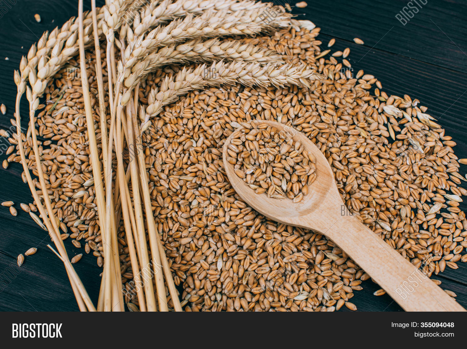 Wheat Harvest. Ripe Image & Photo (Free Trial) | Bigstock
