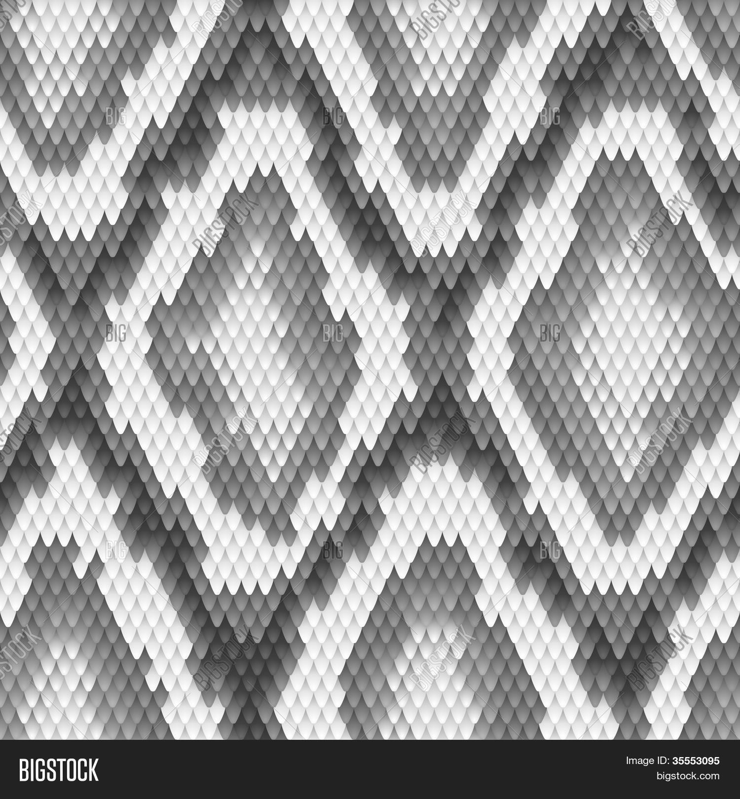 Seamless Python Snake Vector & Photo (Free Trial) | Bigstock