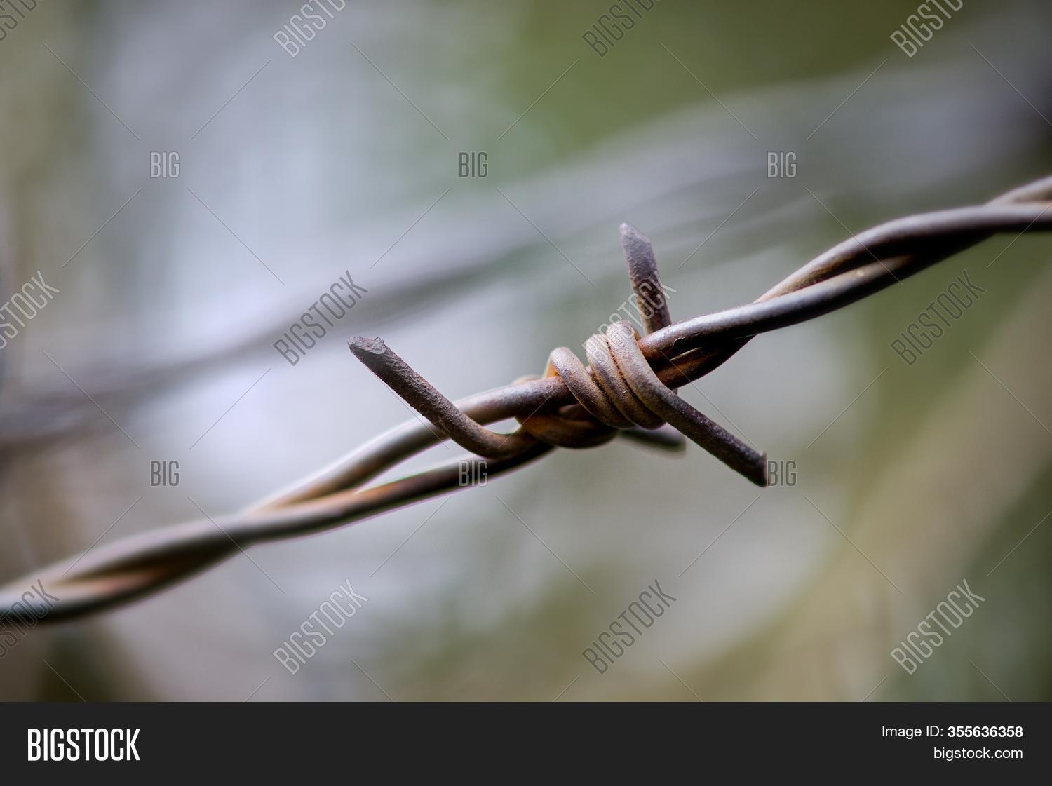 Barbed Wire Barrier Image & Photo (Free Trial) | Bigstock