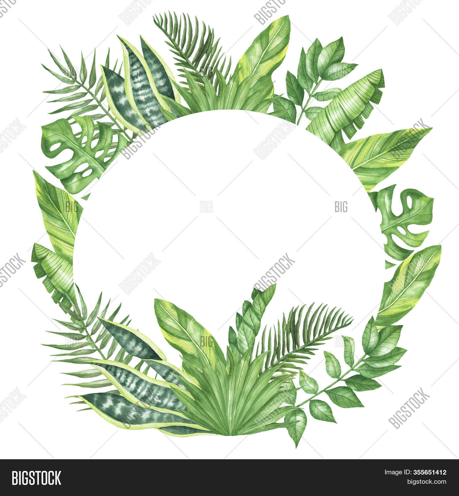 Round Frame Tropical Image & Photo (Free Trial) | Bigstock