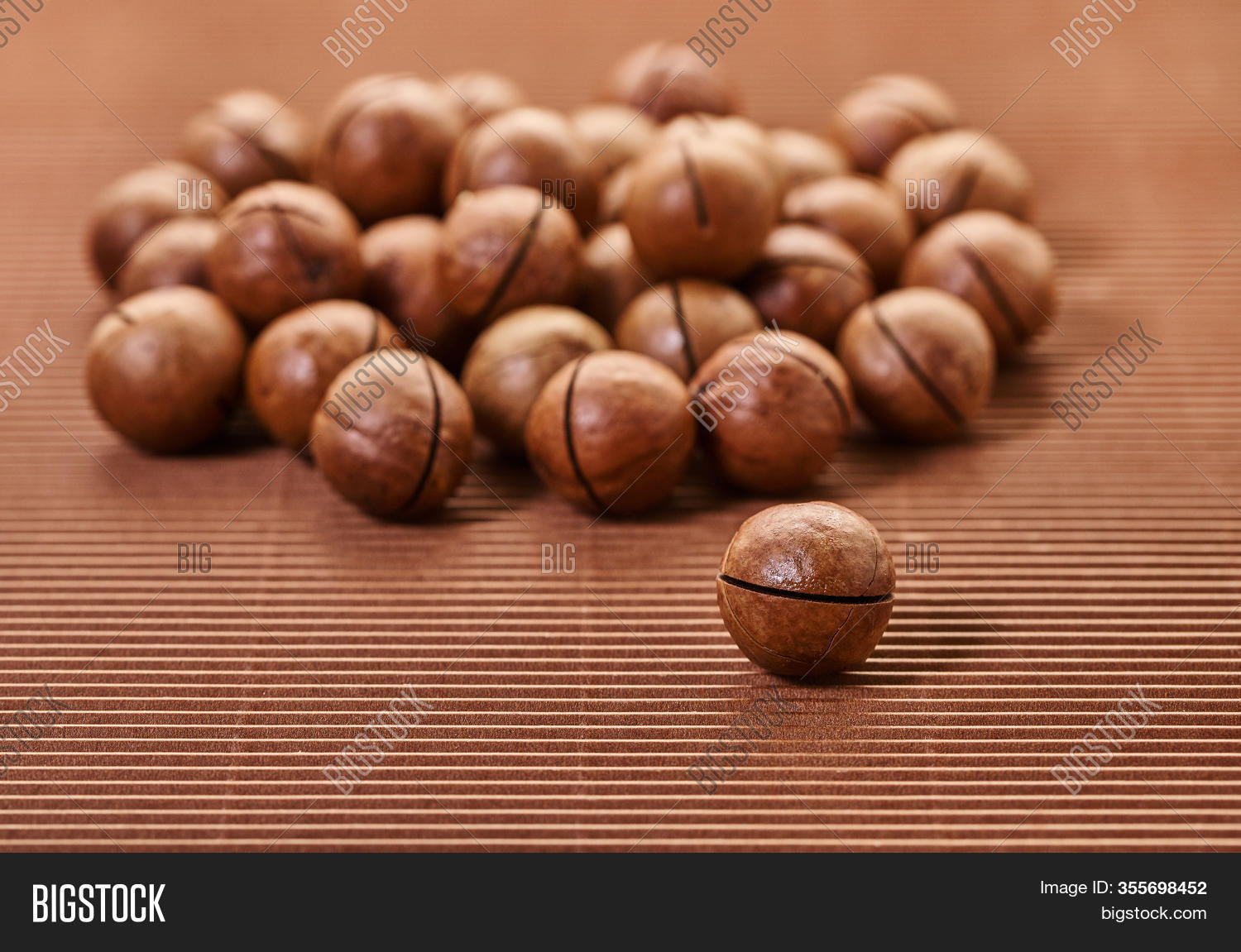 Fresh Macadam Nut Image & Photo (Free Trial) | Bigstock