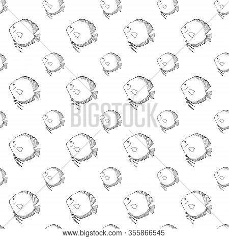 Discus Fish Seamless Vector & Photo (Free Trial) | Bigstock
