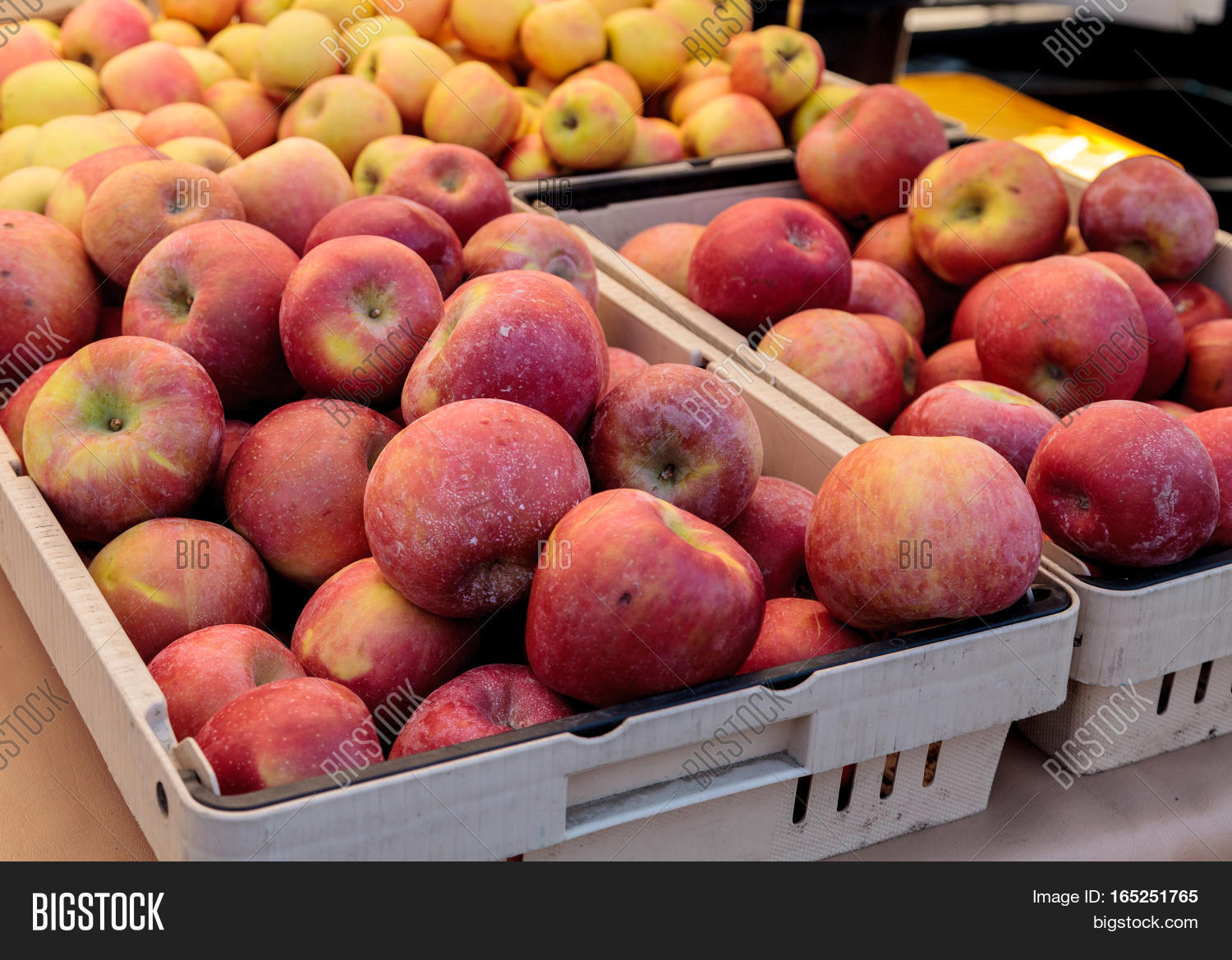 Bushel Green Red Image & Photo (Free Trial) | Bigstock
