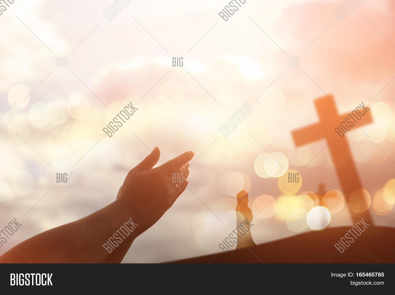 Human Hands Open Palm Image & Photo (Free Trial) | Bigstock