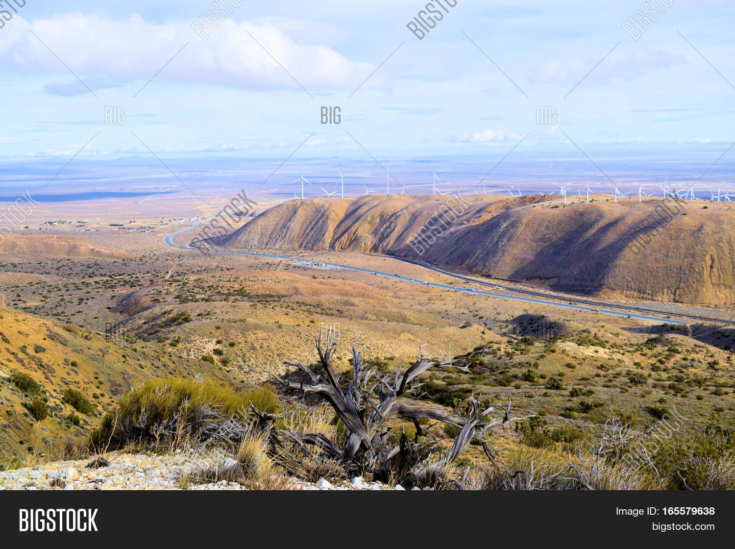 Barren Desolate Image & Photo (Free Trial) | Bigstock