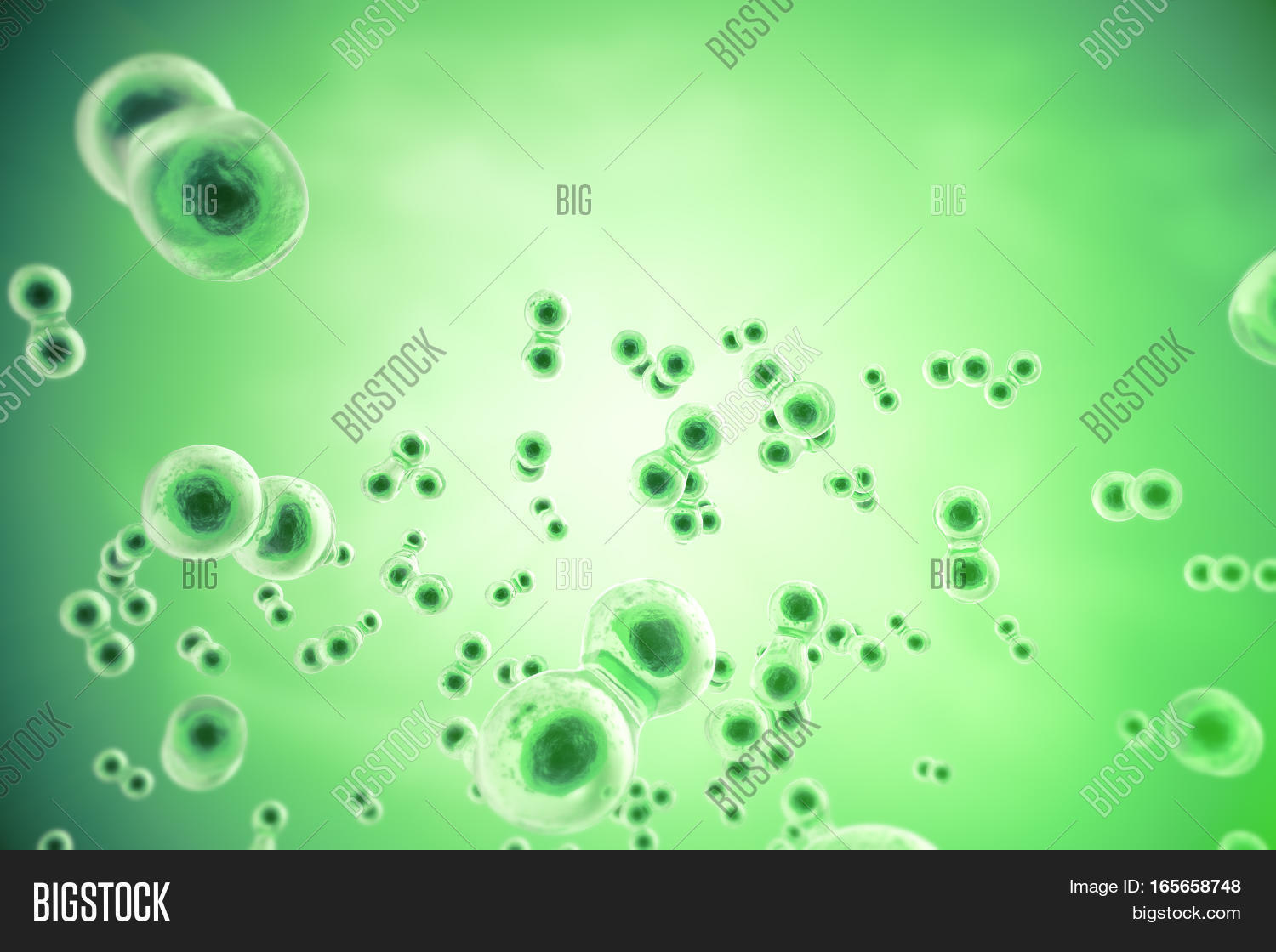 Green Cell Background Image & Photo (Free Trial) | Bigstock