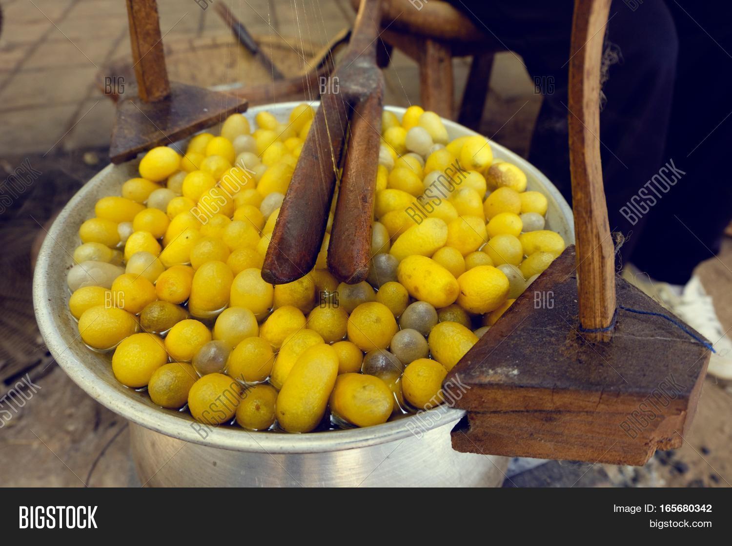 Boiled Silkworm Image & Photo (Free Trial) | Bigstock