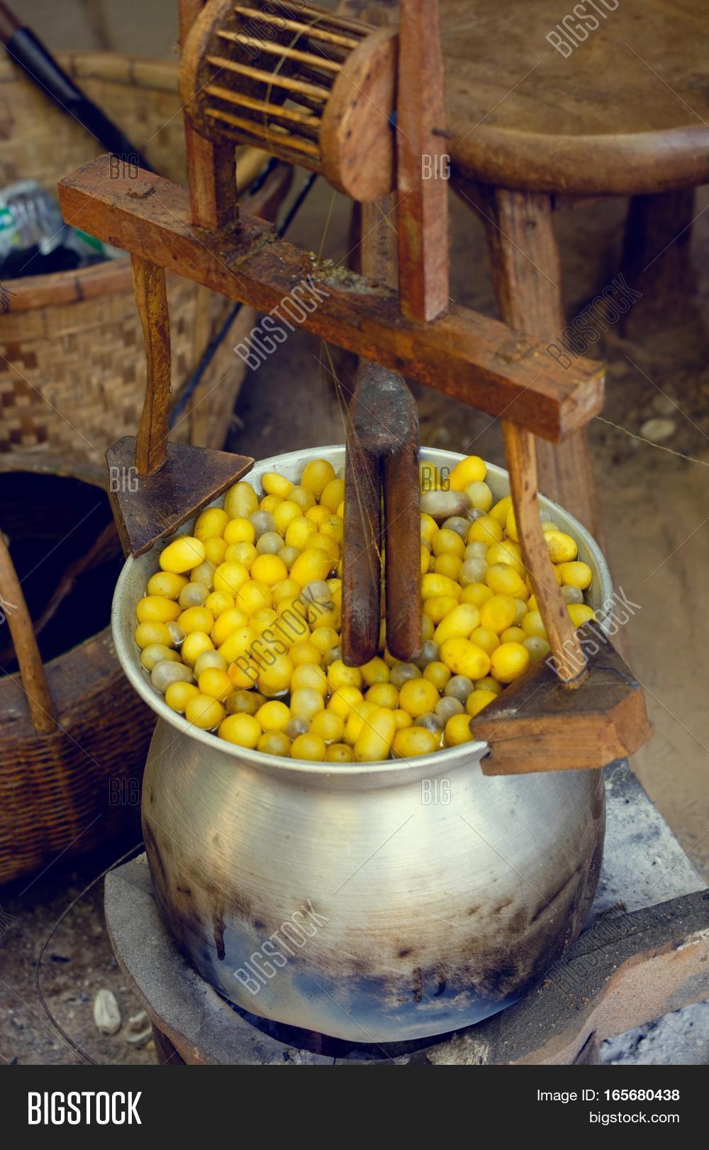 Boiled Silkworm Image & Photo (Free Trial) | Bigstock