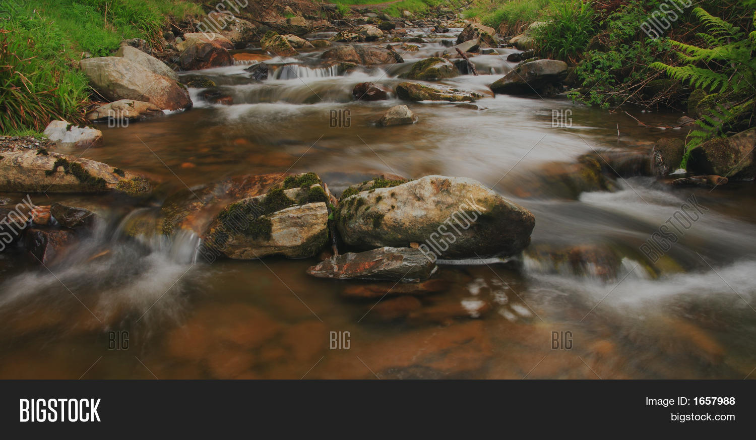 Gentle Stream Image & Photo (Free Trial) | Bigstock