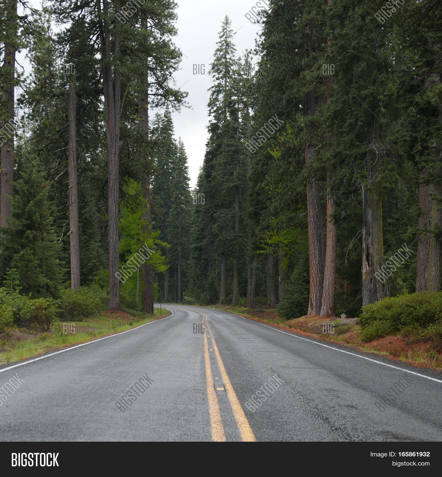 Back Road Central Image & Photo (Free Trial) | Bigstock