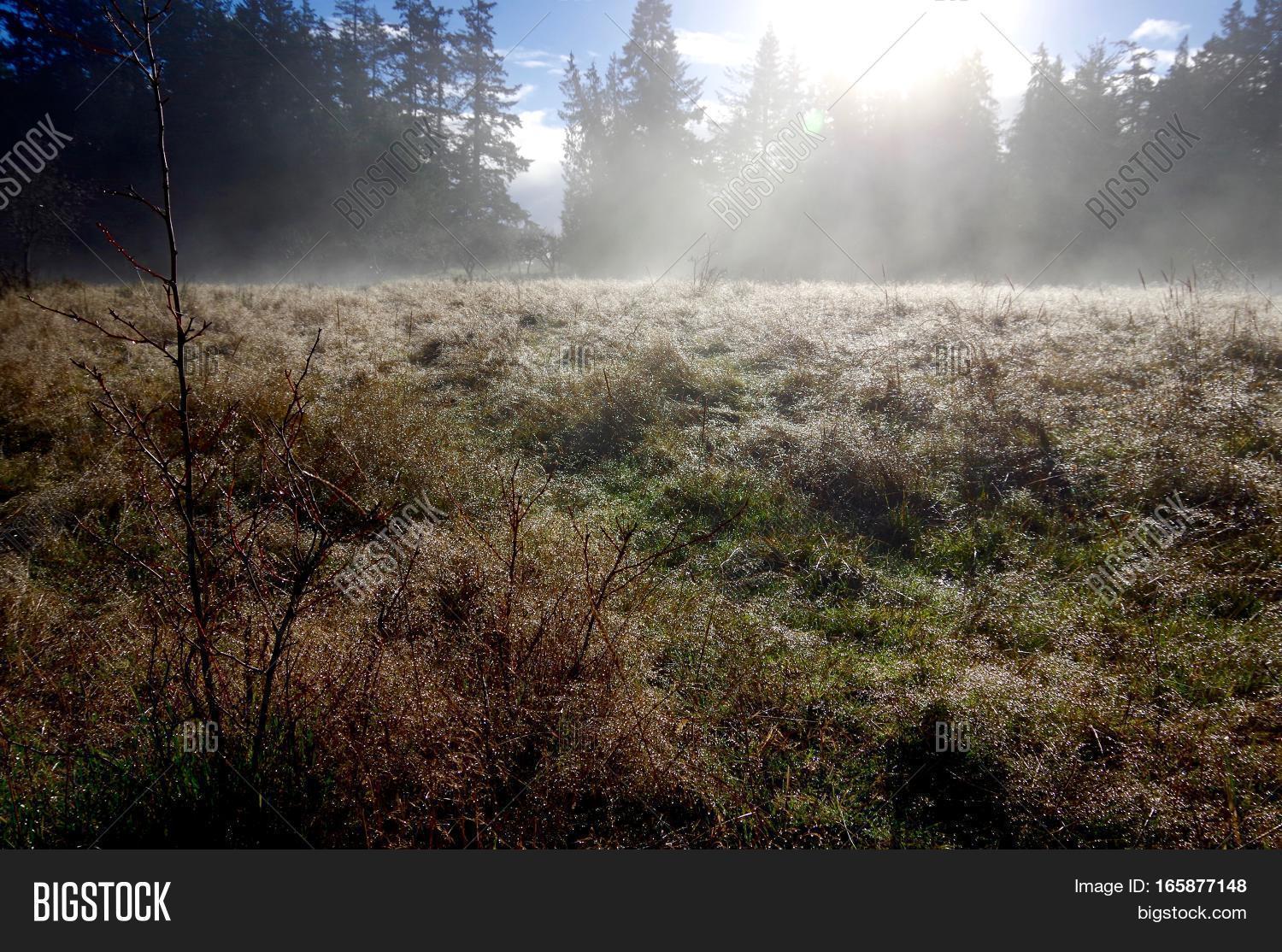 Bright Sun Shines Image & Photo (Free Trial) | Bigstock