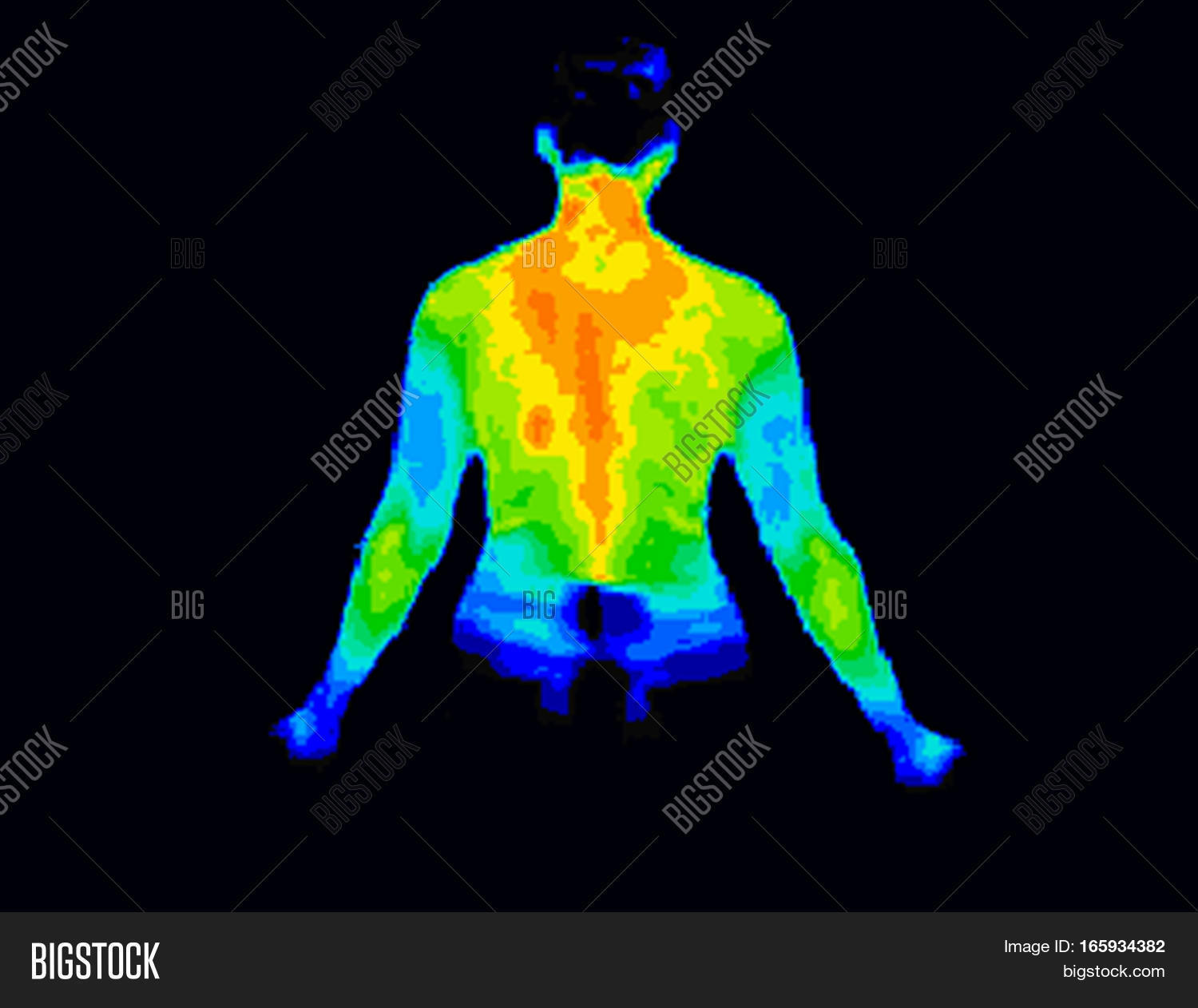 Thermographic Image Image & Photo (Free Trial) | Bigstock