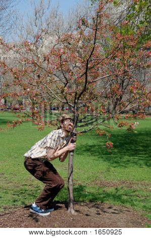 Treehugger Image & Photo (Free Trial) | Bigstock