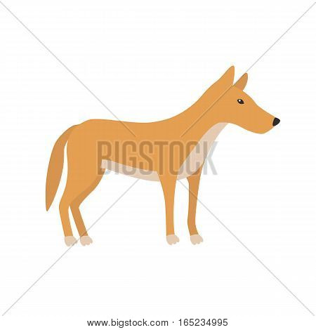 Dingo. Cartoon Vector & Photo (Free Trial) | Bigstock