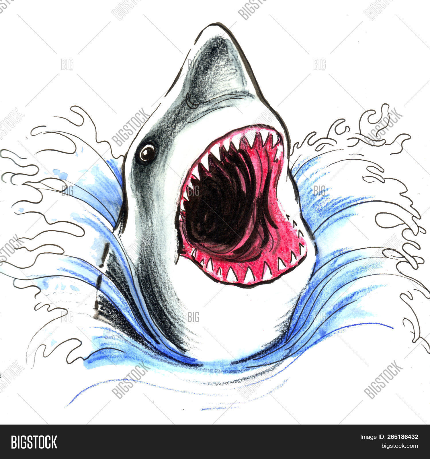 Angry Shark Sea Wave. Image & Photo (Free Trial) | Bigstock