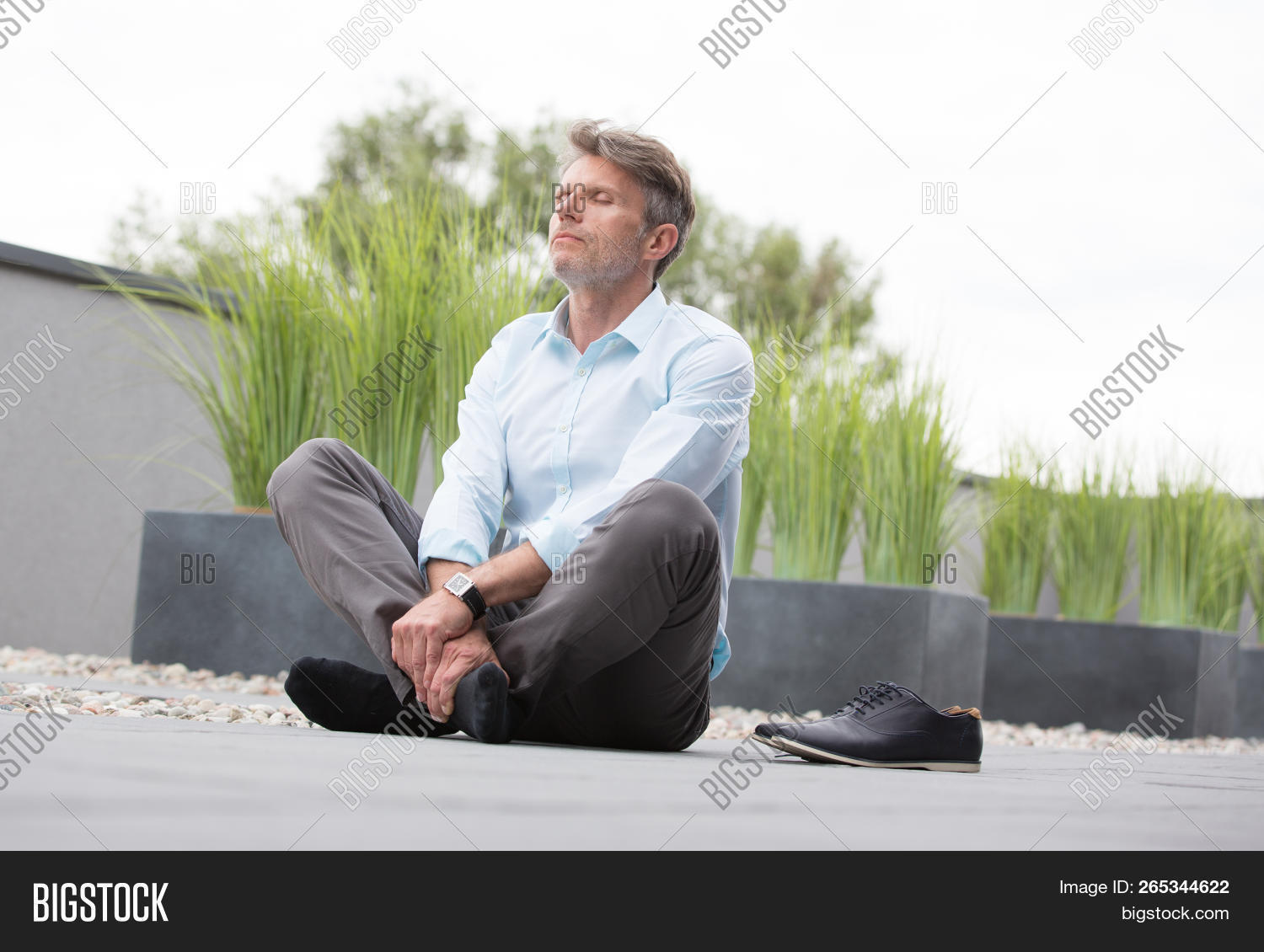 Senior Business Man Image & Photo (Free Trial) | Bigstock