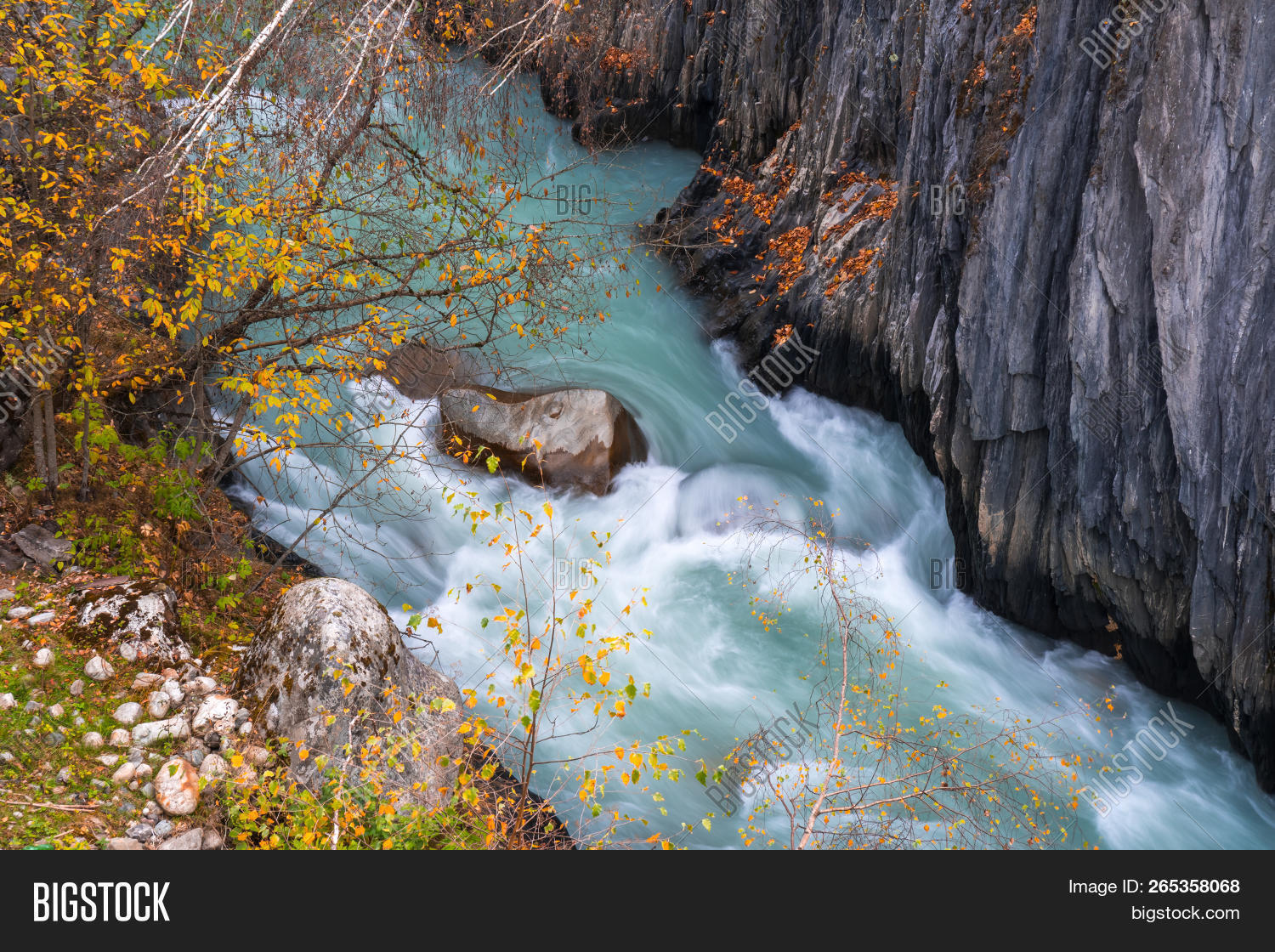 Wild River Stream Image & Photo (Free Trial) | Bigstock