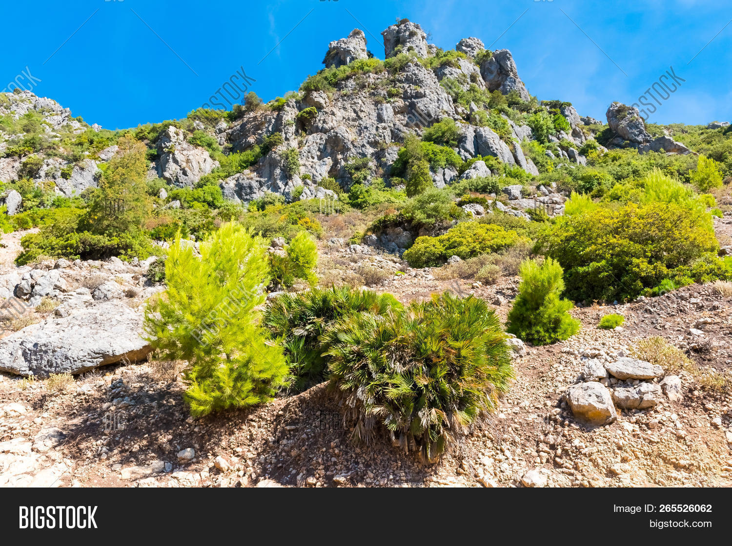 Hiking Morocco's Rif Image & Photo (Free Trial) | Bigstock