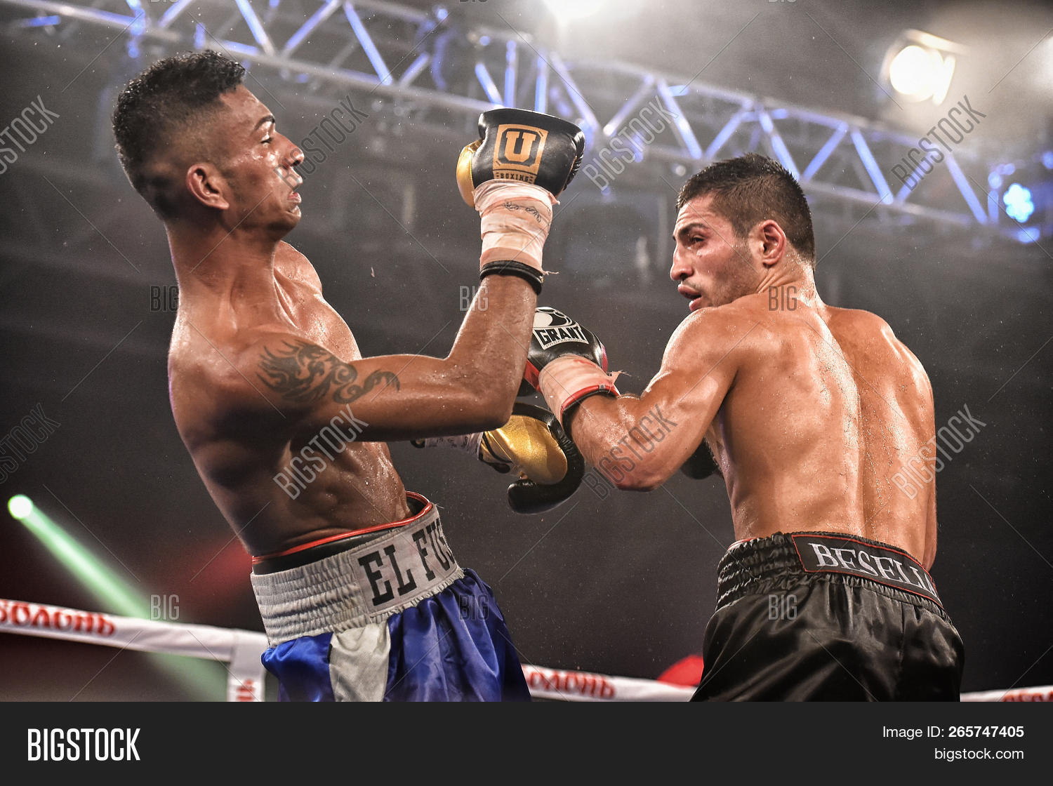 Unidentified Boxers Image & Photo (Free Trial) | Bigstock