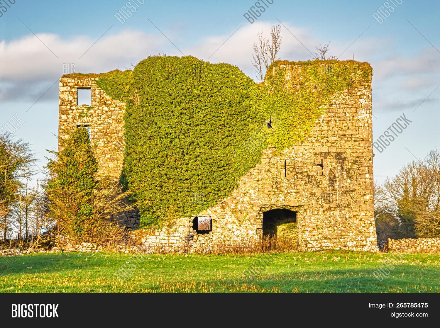 Moyne Castle, Massive Image & Photo (Free Trial) | Bigstock