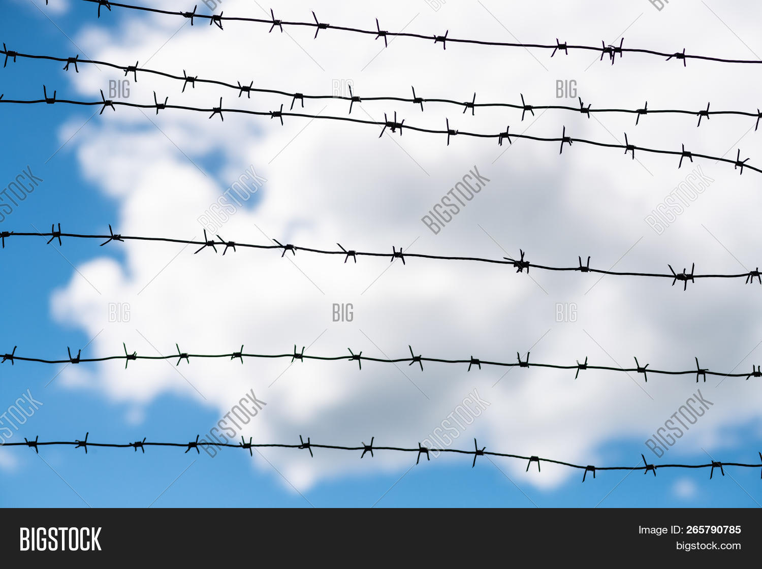 Barbed Wire Border Wallpaper