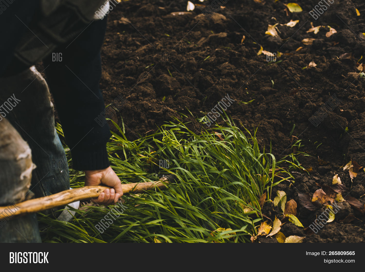 Man Digging Garden. Image & Photo (Free Trial) | Bigstock
