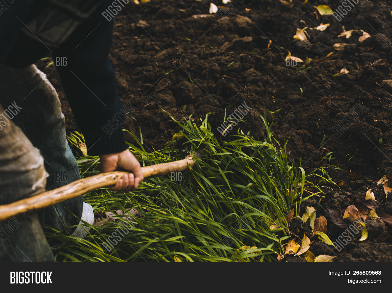 Man Digging Garden. Image & Photo (Free Trial) | Bigstock