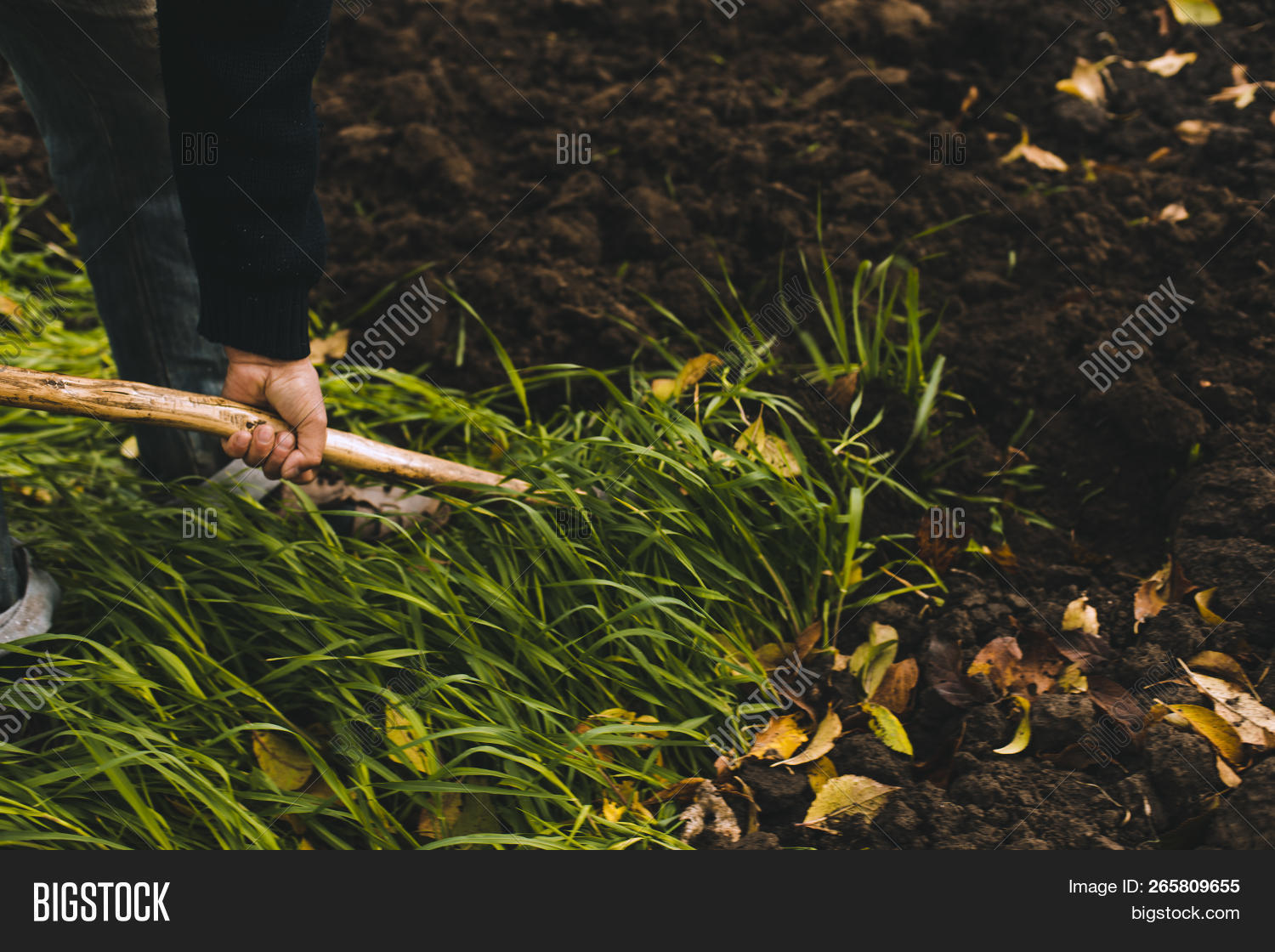 People Digging Planting Plants
