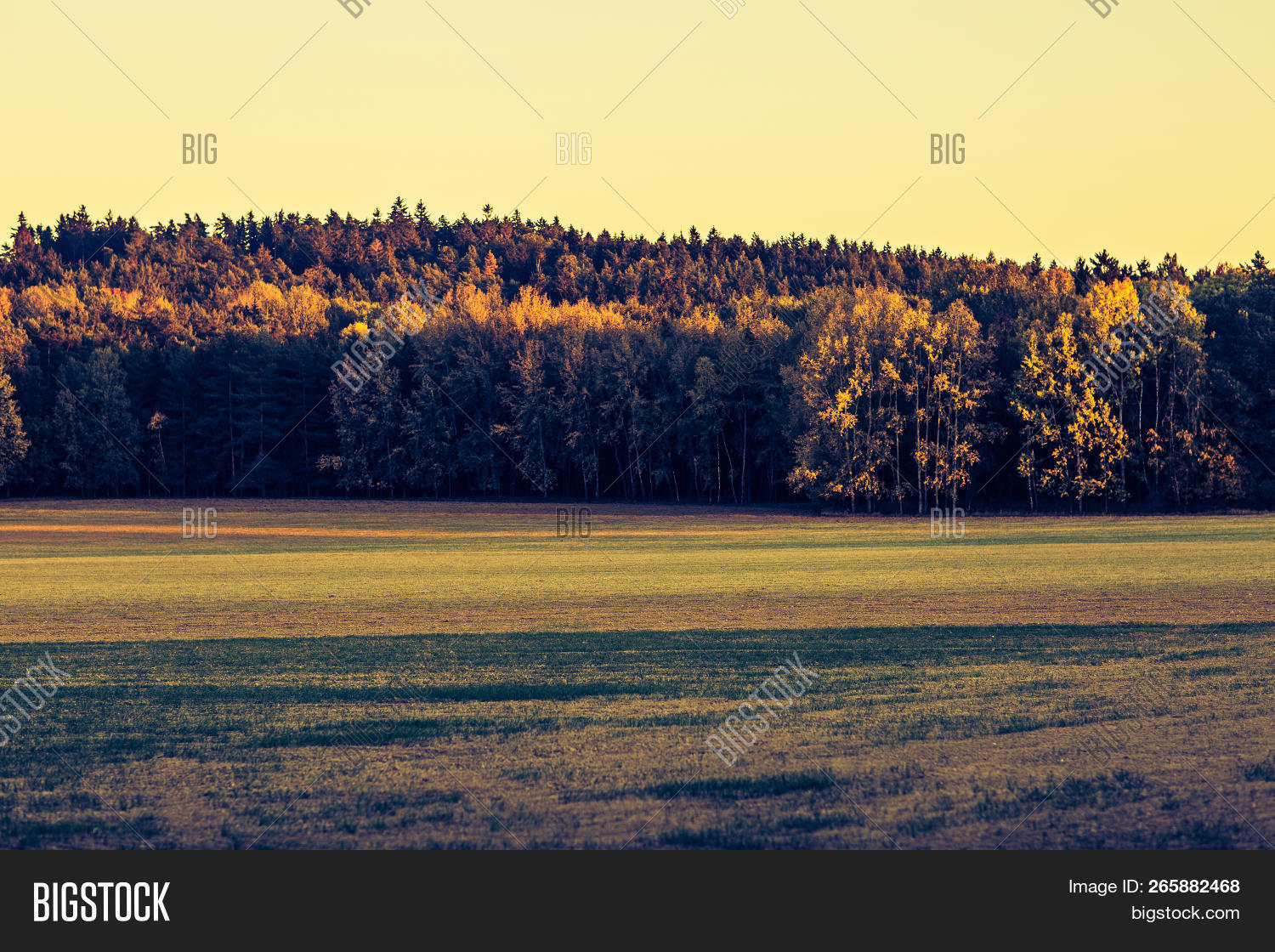 Autumn Outdoor Nature Image & Photo (Free Trial) | Bigstock