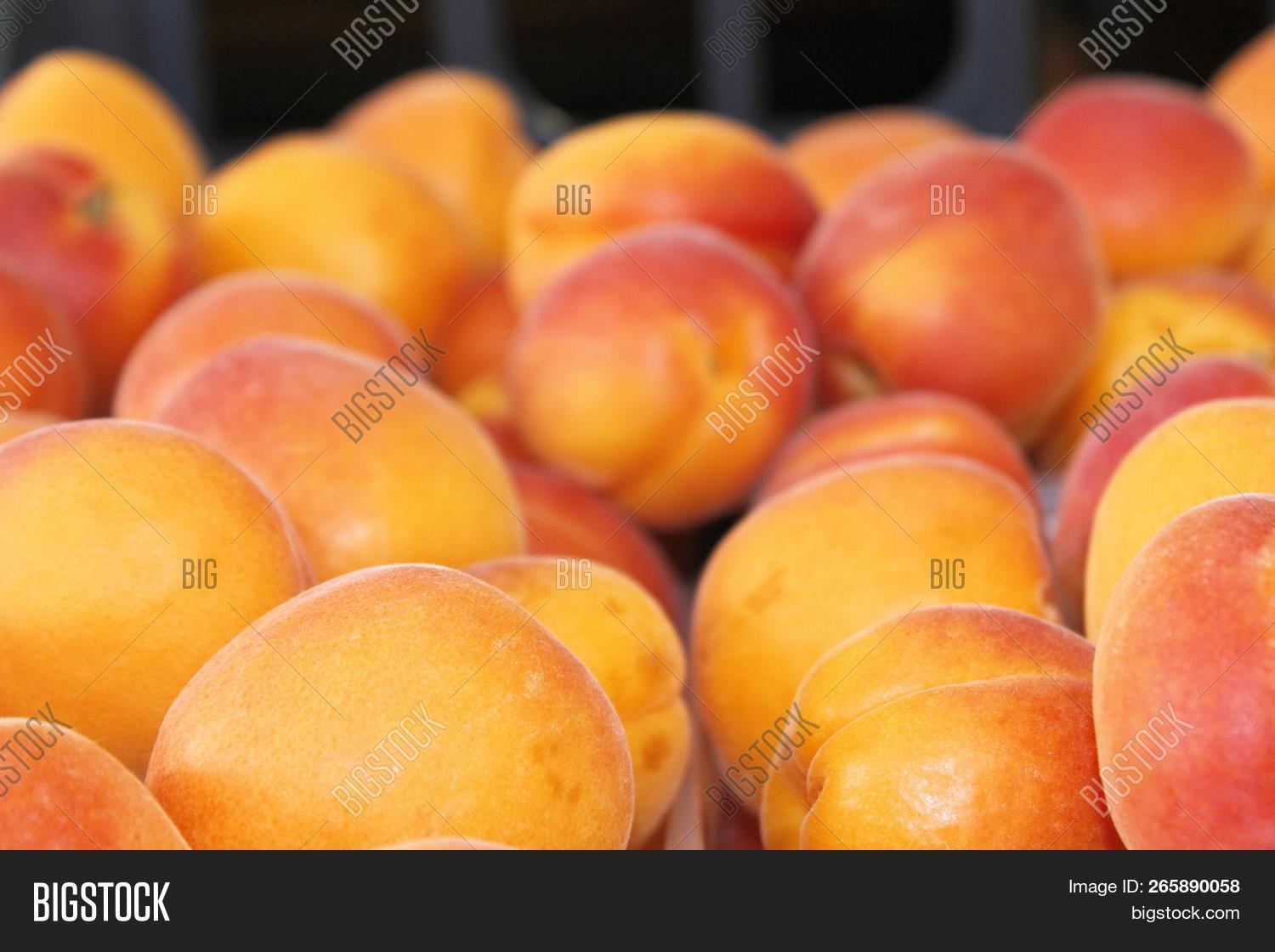 View Close- Fresh Image & Photo (Free Trial) | Bigstock