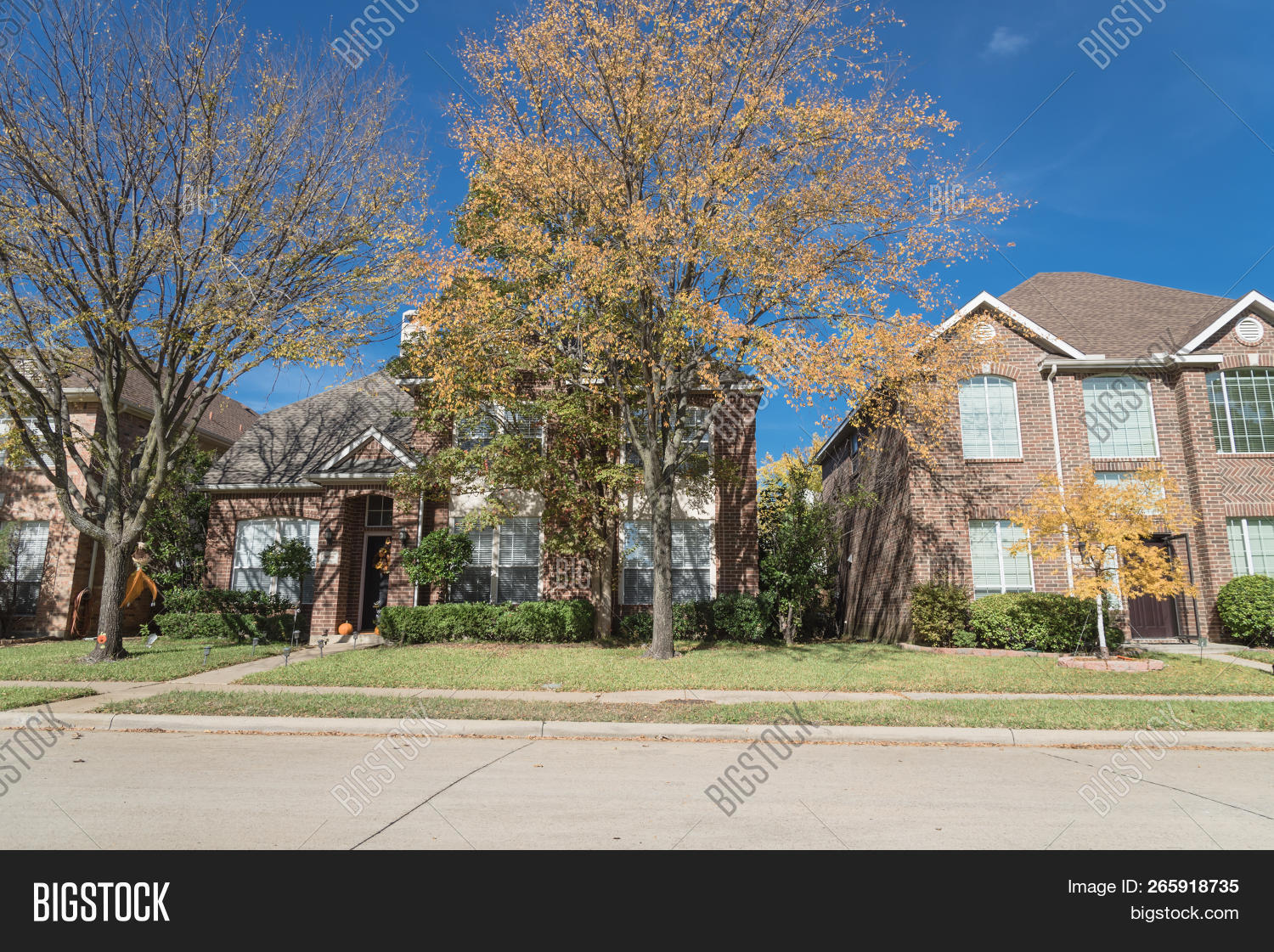 Bright Fall Foliage Image & Photo (Free Trial) | Bigstock