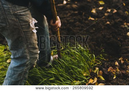 Man Digging Garden. Image & Photo (Free Trial) | Bigstock