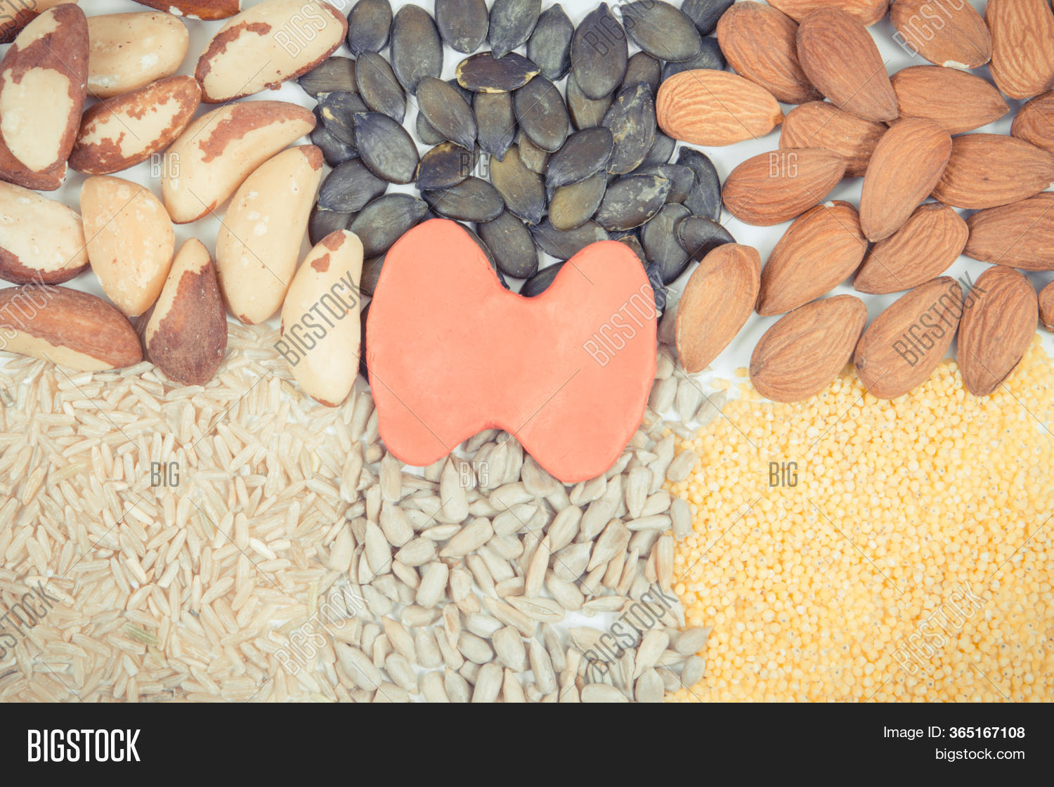 Best Nutritious Image & Photo (Free Trial) | Bigstock