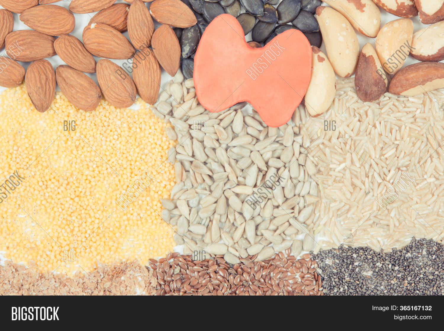 Best Nutritious Image & Photo (Free Trial) | Bigstock