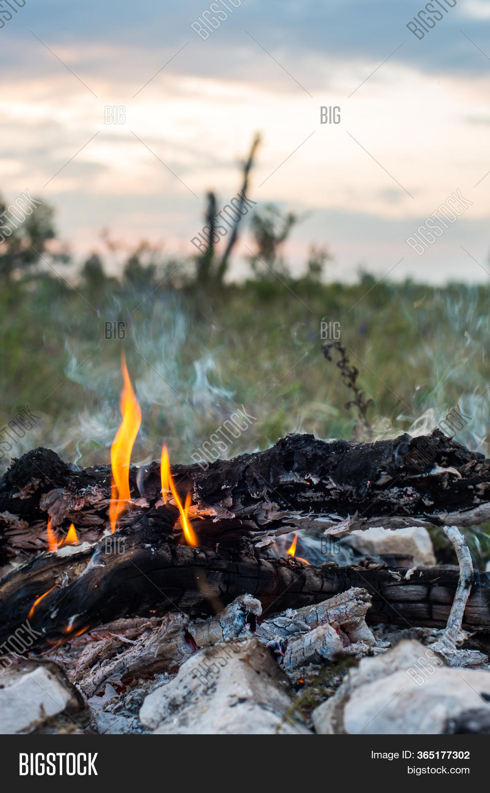 Dry Sticks Burn, Red Image & Photo (Free Trial) | Bigstock