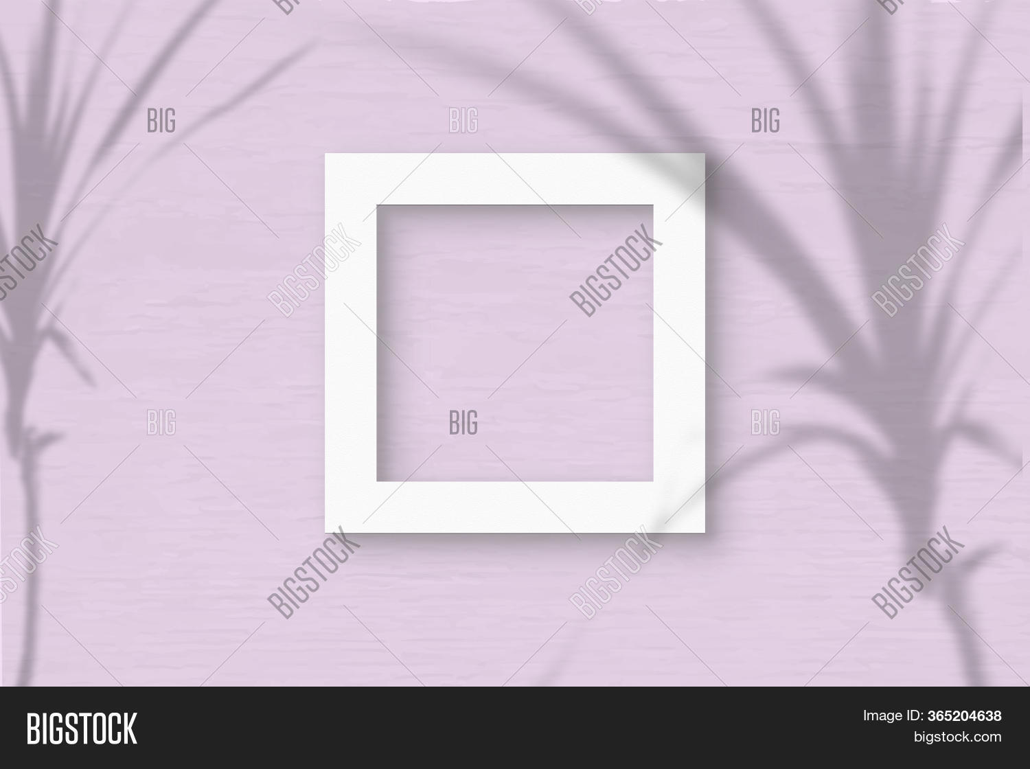 Square Frame Sheet Image & Photo (Free Trial) | Bigstock