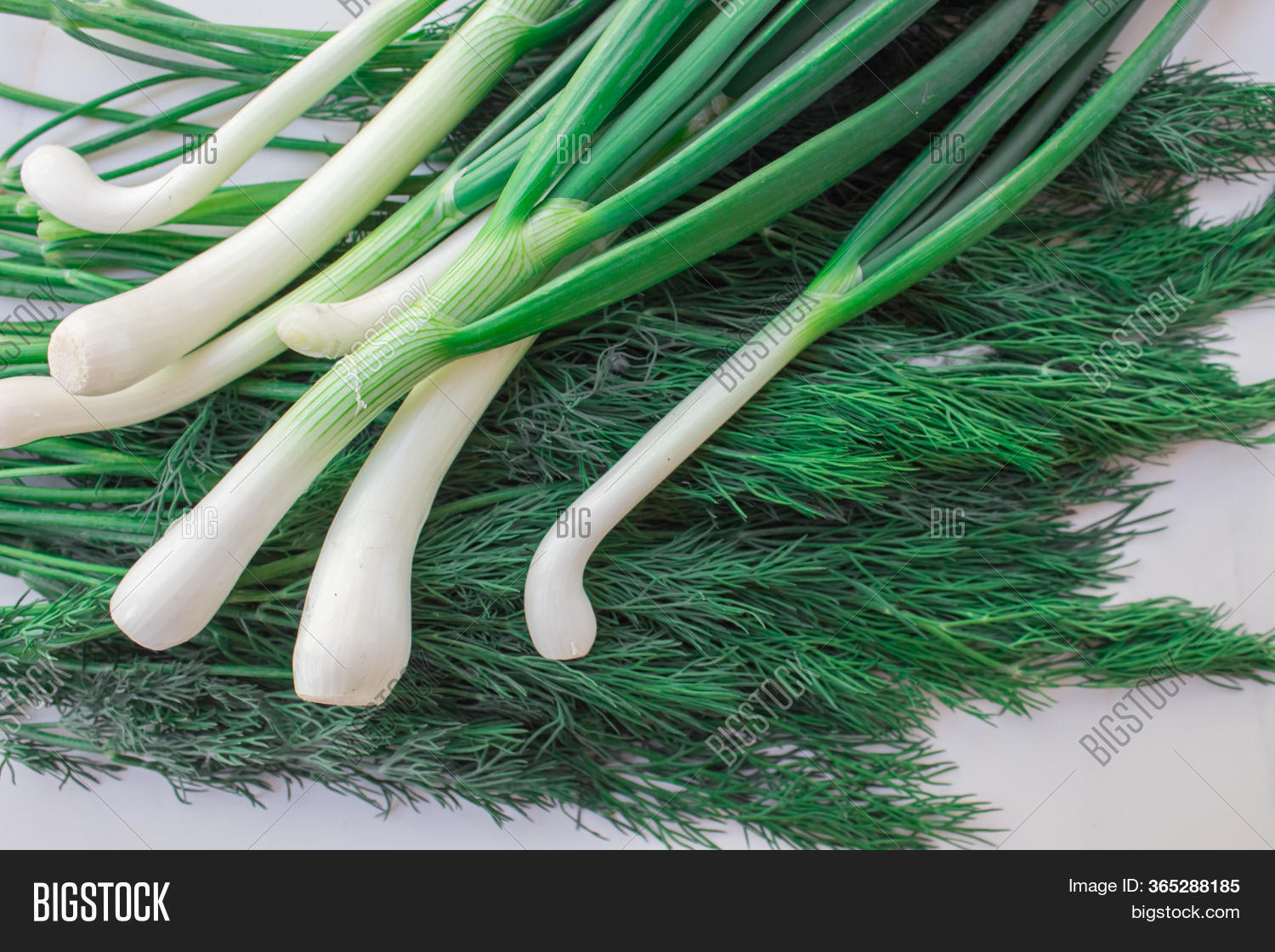 Fresh Dill Green Image & Photo (Free Trial) | Bigstock