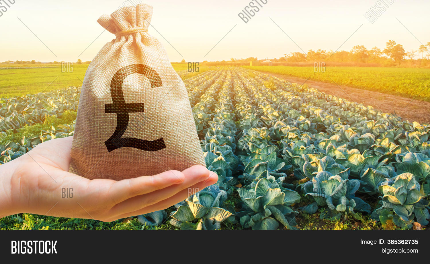 Farmer Holding Money Image & Photo (Free Trial) | Bigstock