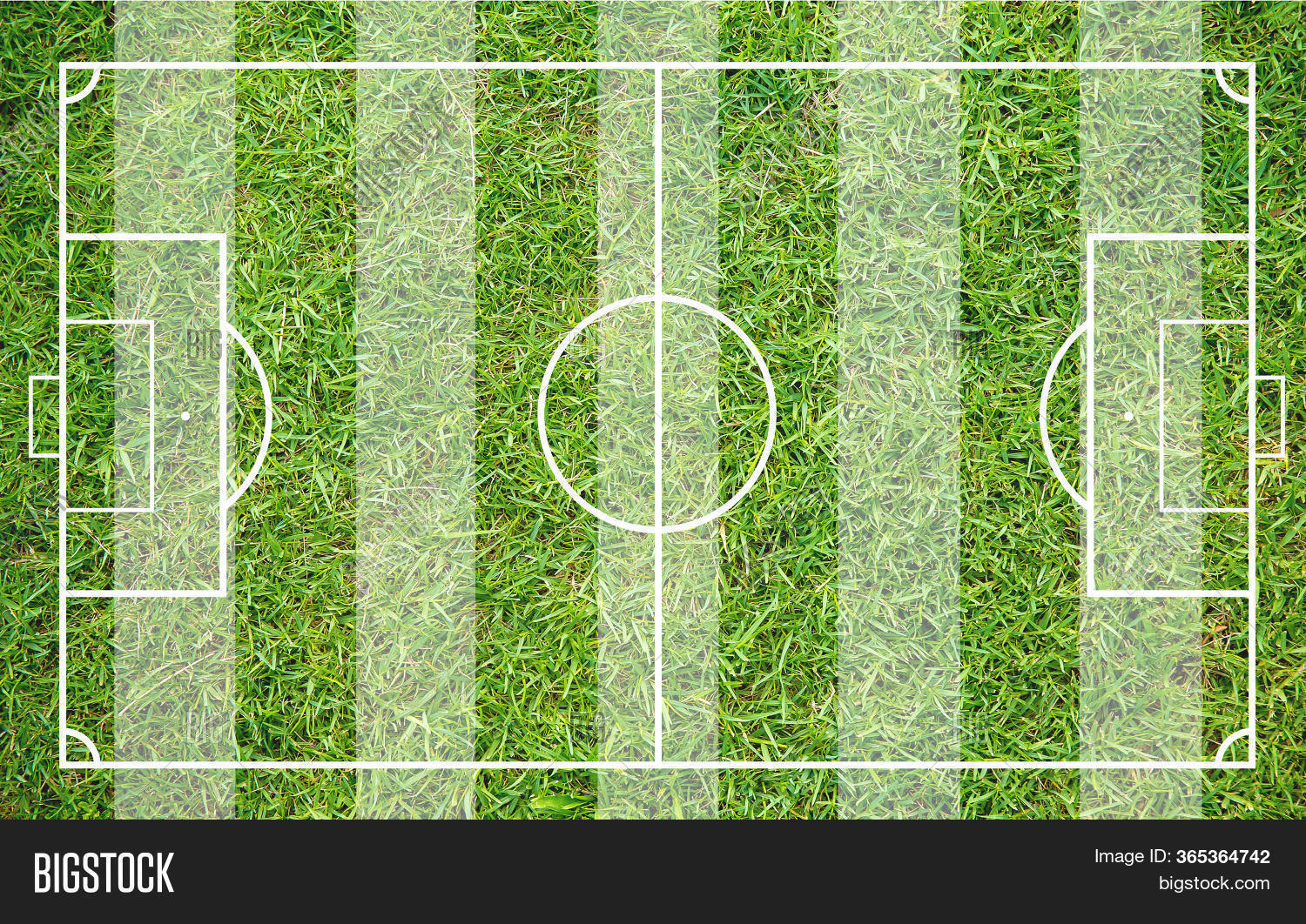 Grass Soccer Field. Image & Photo (Free Trial) | Bigstock
