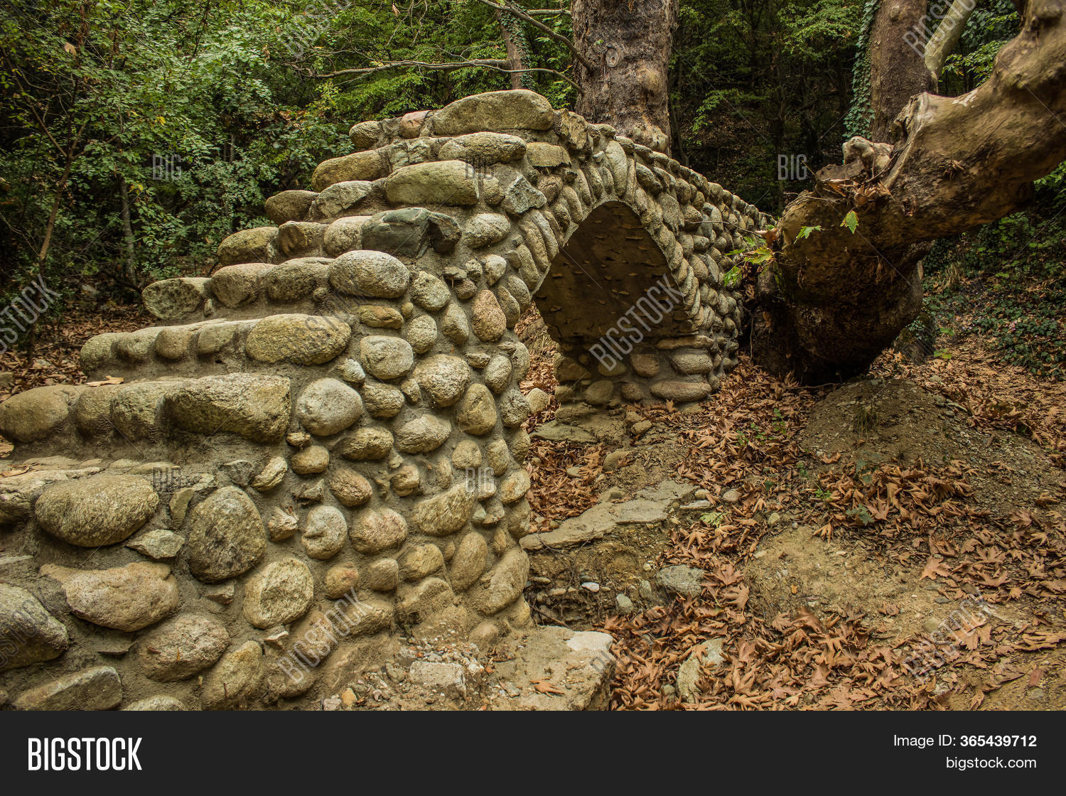 Stone Medieval Image & Photo (Free Trial) | Bigstock
